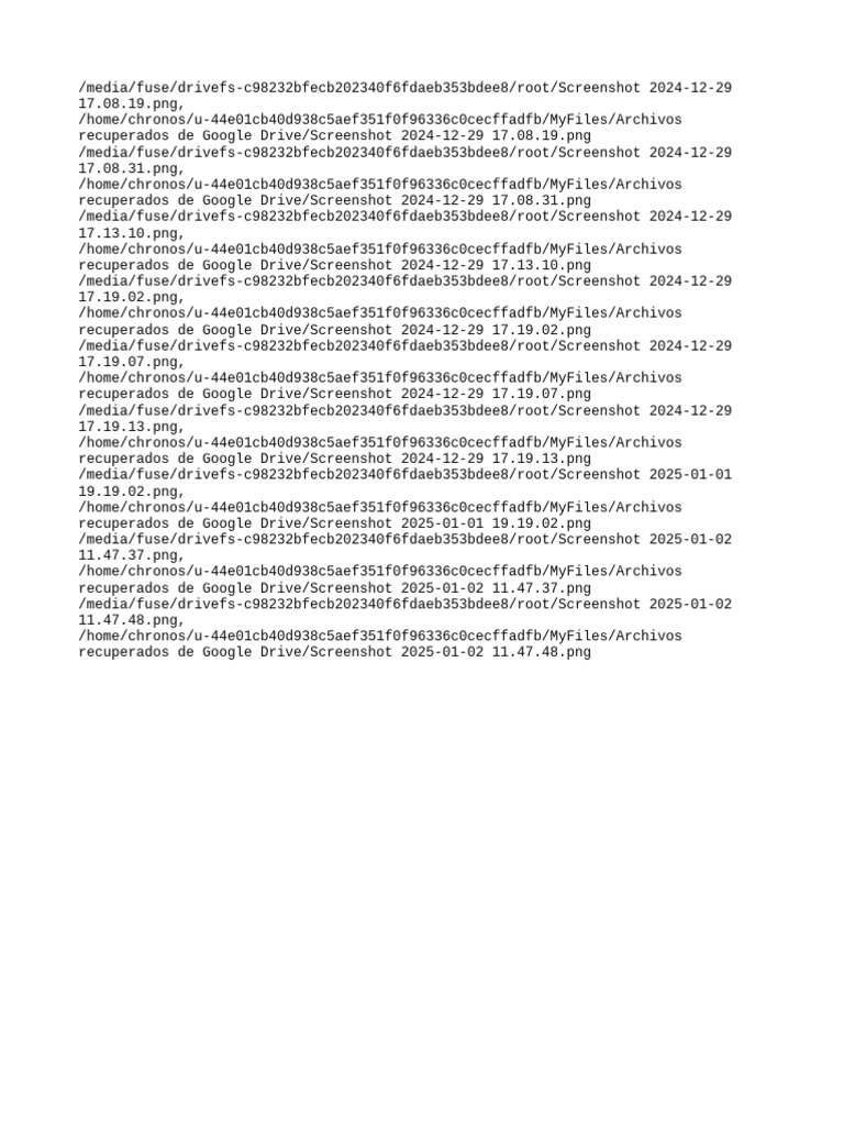 Google Drive Screenshot Archive | PDF