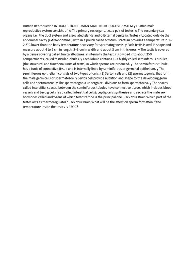 Human Reproduction INTRODUCTION HUMAN MALE REPRODUCTIVE SYSTEM y Human ...