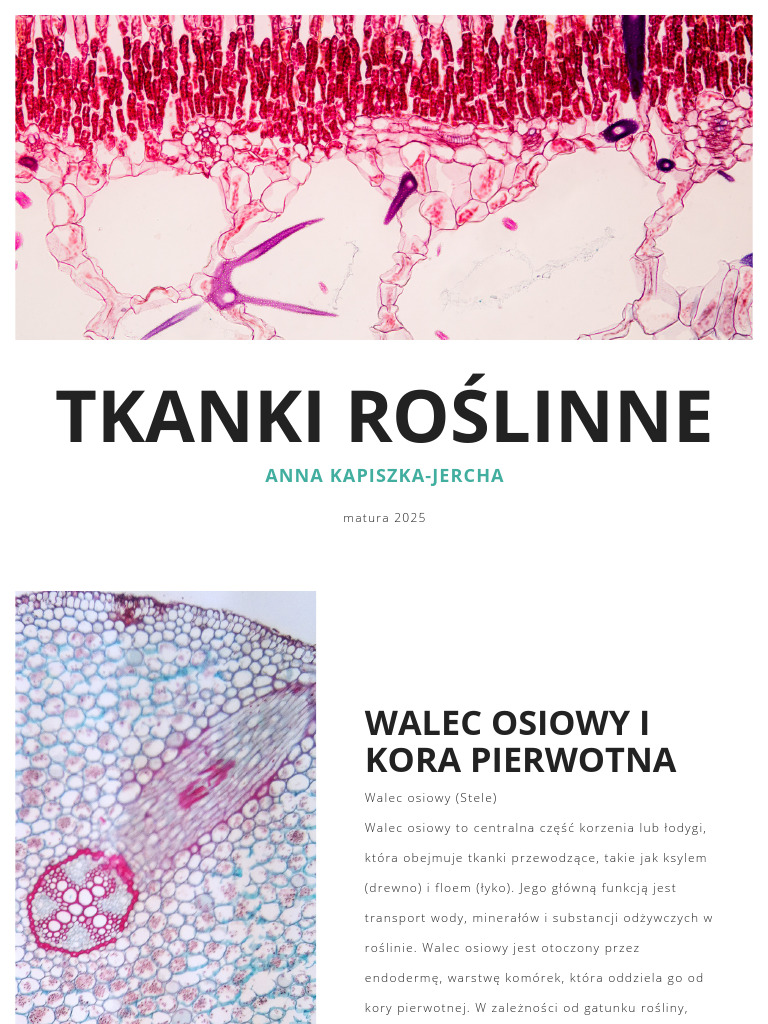 Tkanki Roslinne 2 Bqay4g | PDF