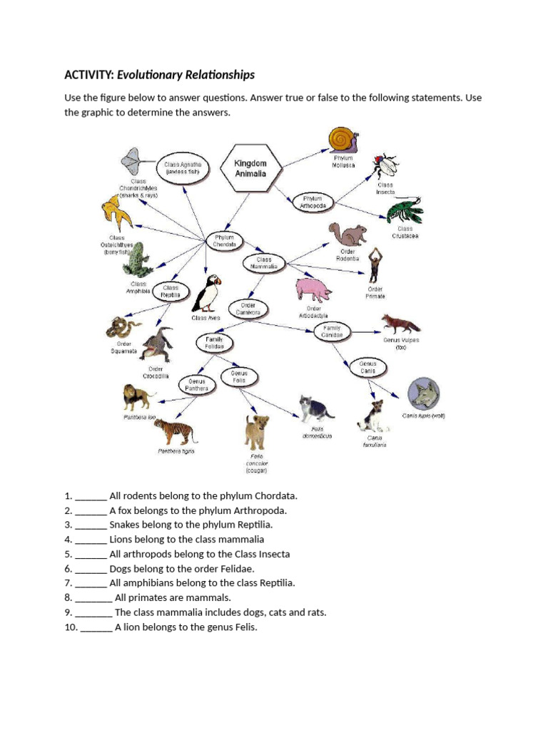 Activity Evolutionary Relationship 1 | PDF