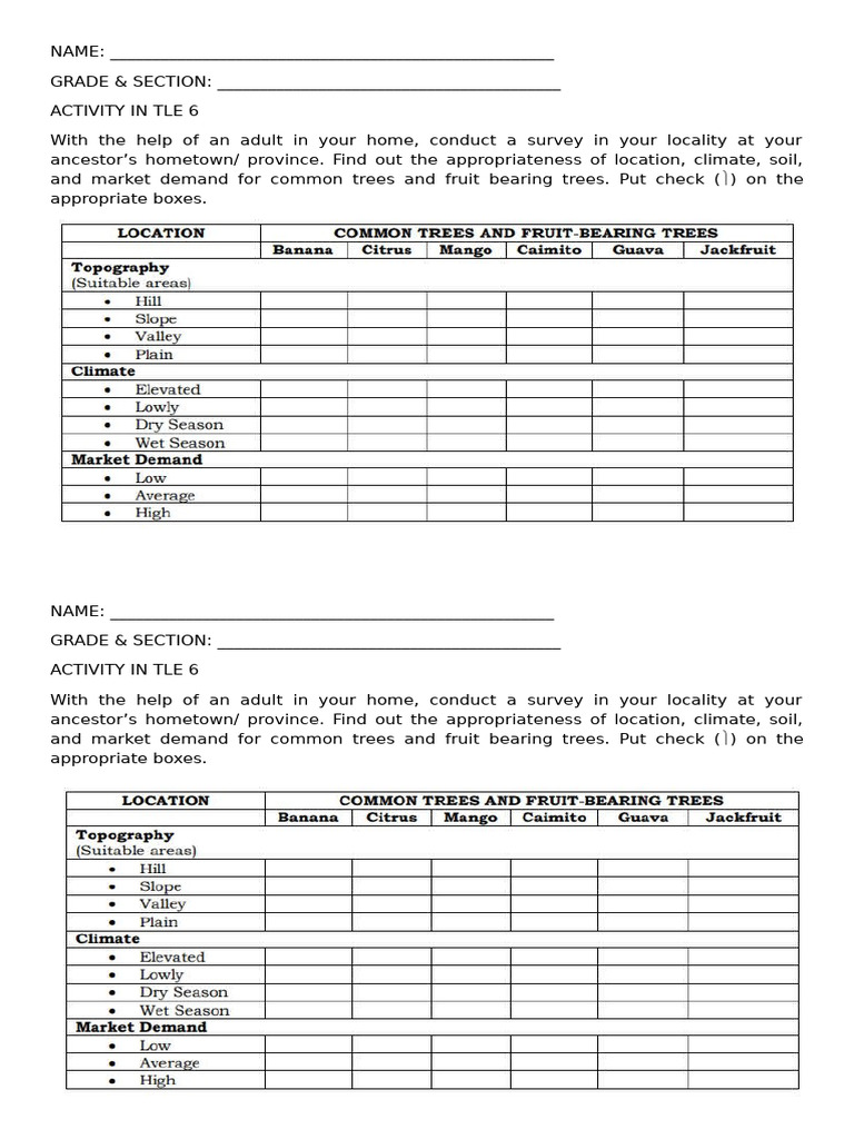Q2 ACTIVITIES 2024-2025 | PDF