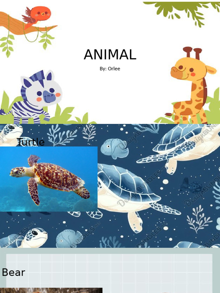 ANIMAL | PDF