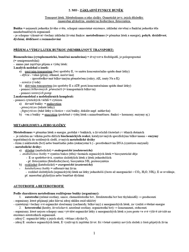 02 Základní funkce buněk.docx | PDF