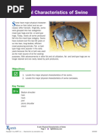 PiG Anatomy | PDF