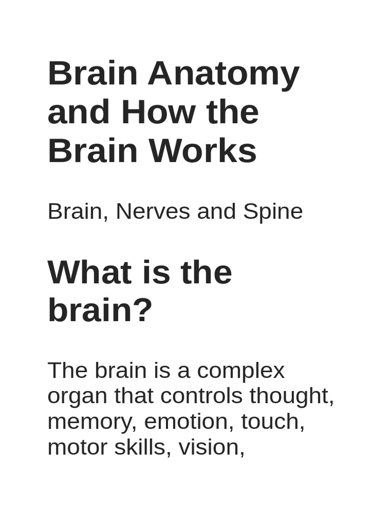 BRAIN, Contents, and Surroundings - 241110 - 174836 | PDF | Cerebrum ...