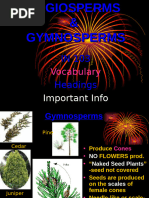 Amoeba Sisters Video Recap of Plant Reproduction in Angiosperms | PDF