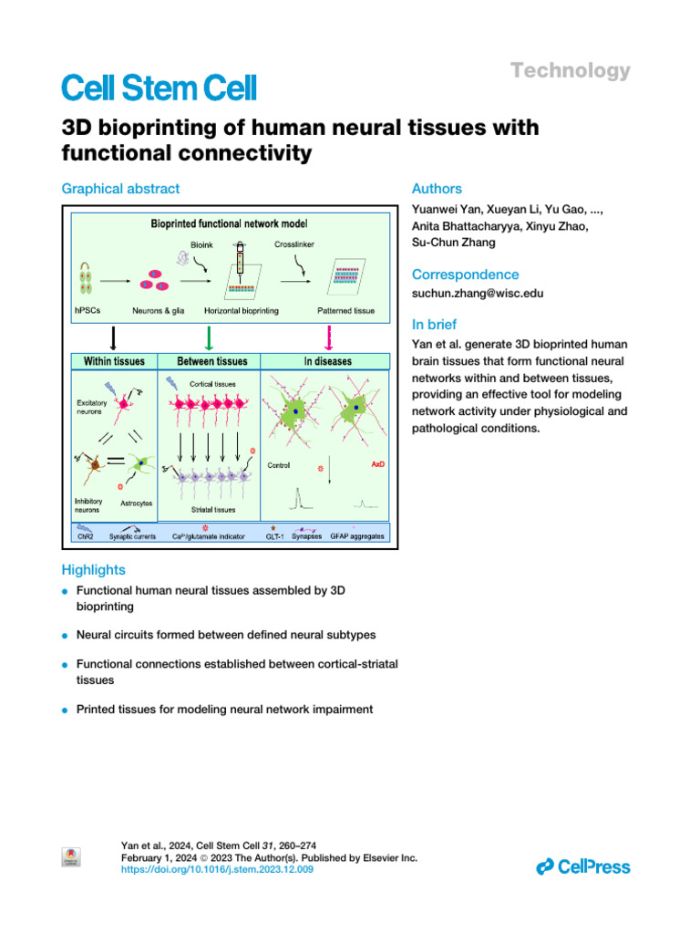 3D Bioprinting of Human Neural Tissues | PDF | Nervous System | Neuron