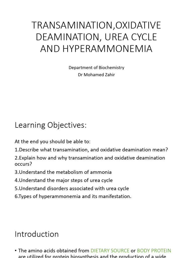 Transmination, Oxidative Deamination, Urea Cycle | PDF | Transaminase ...