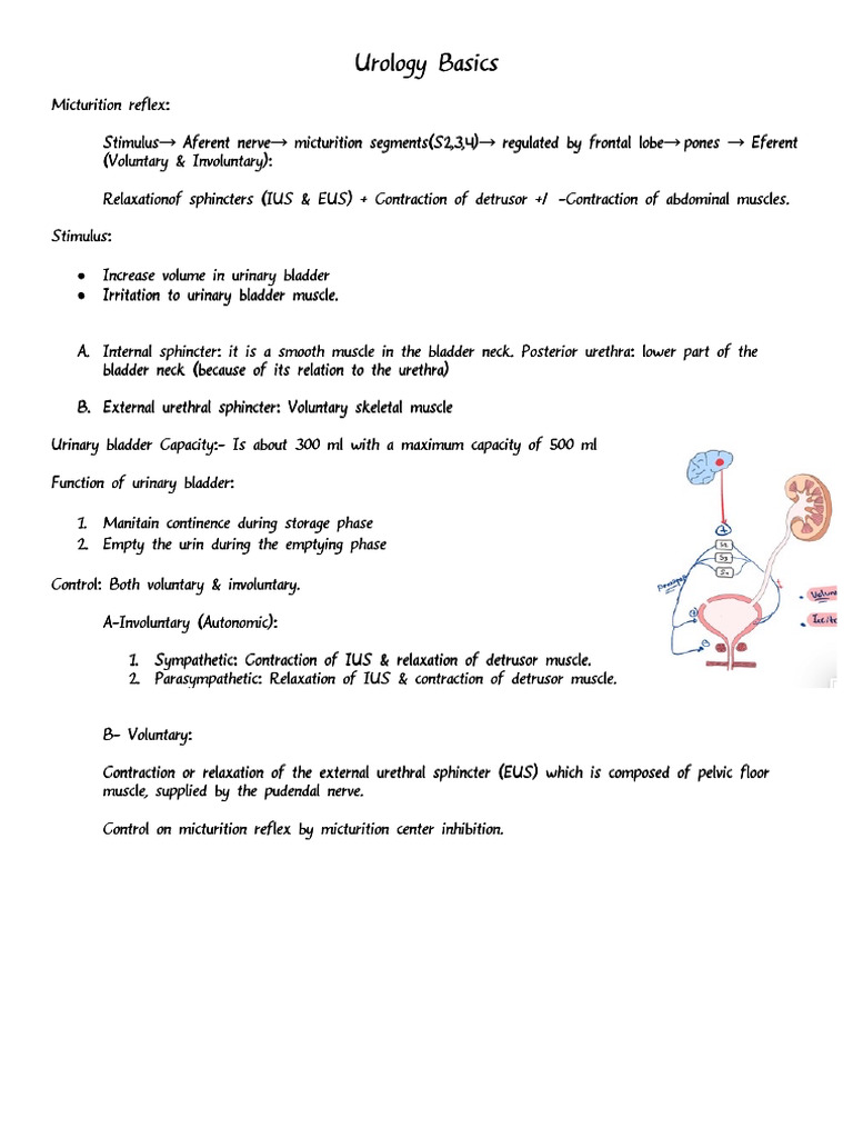 Urology sheet | PDF | Urination | Urinary Incontinence