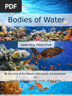 Types of Water Forms Explained | PDF