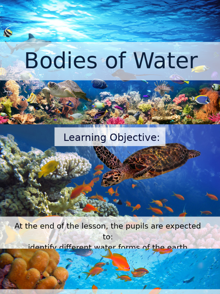 Types of Water Bodies Explained | PDF