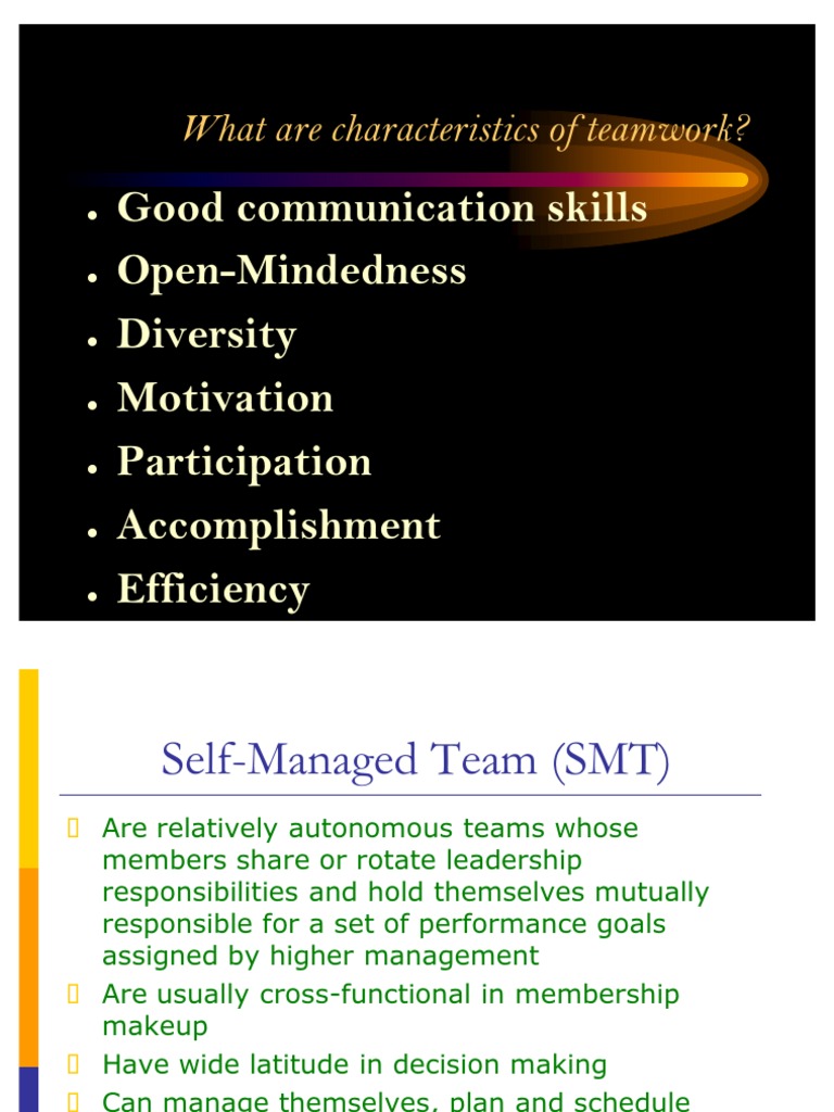 Self Managed Teams Examples