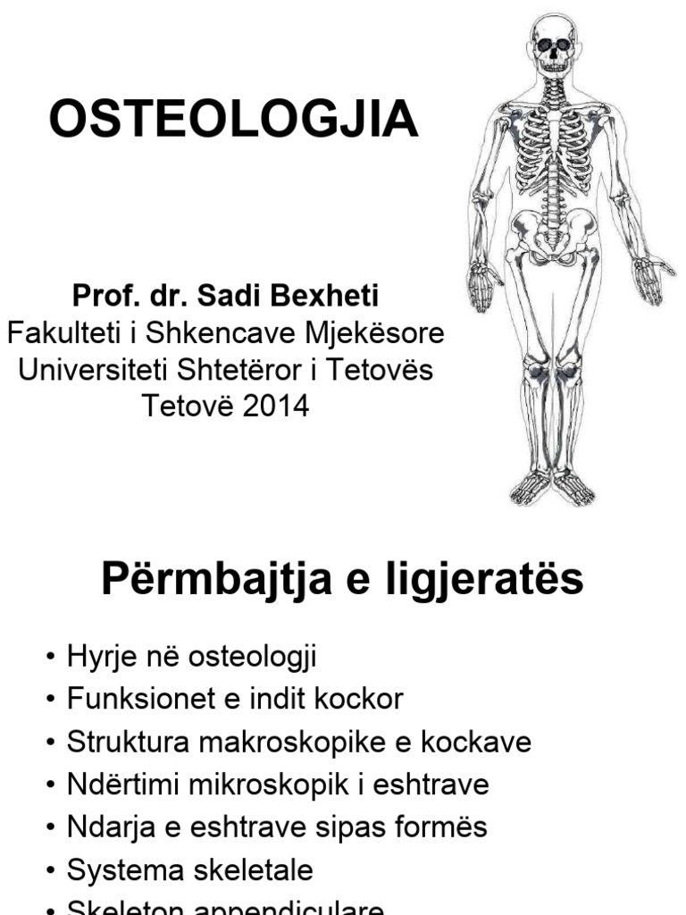 L2 - Ossa Membri Superioris | PDF
