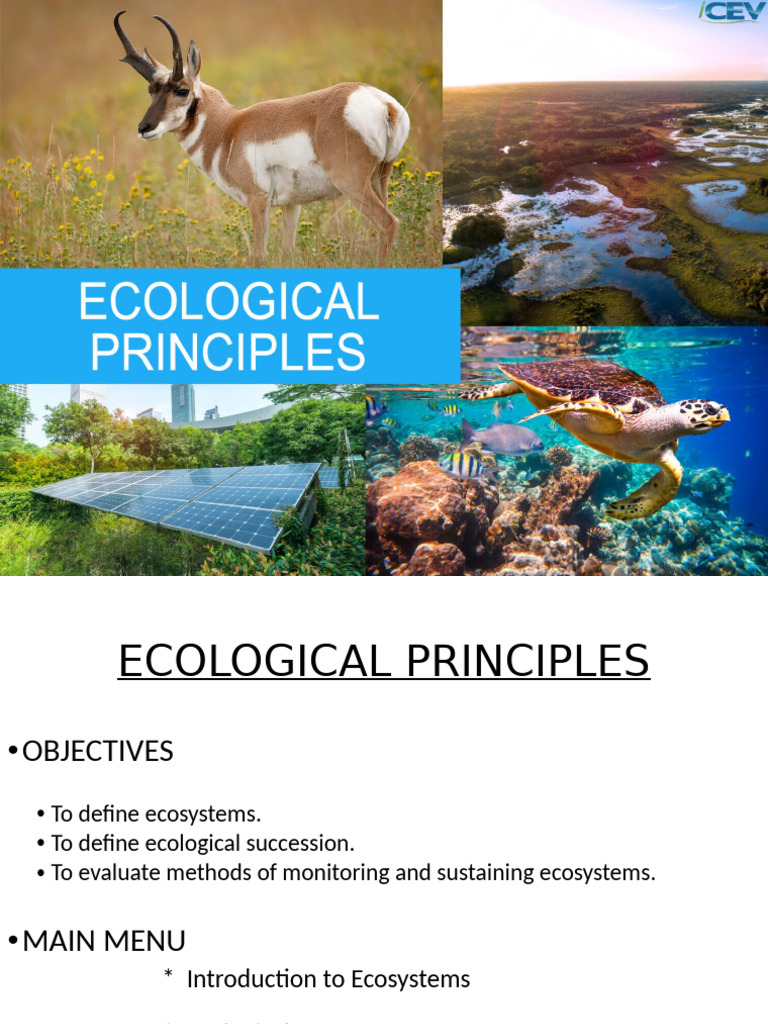Ecological Principles PPT For Introduction To Ecosystems and Ecological ...