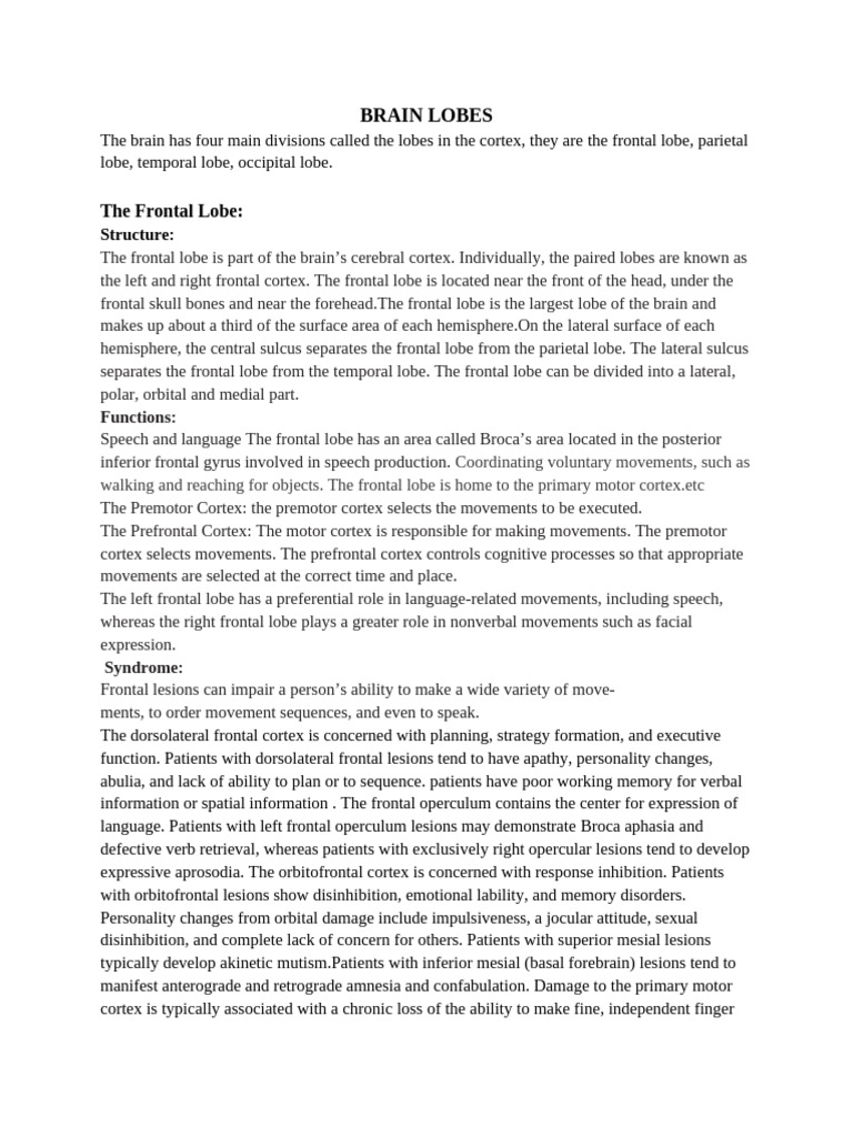 UNIT 6 - Brain lobes | PDF | Parietal Lobe | Frontal Lobe