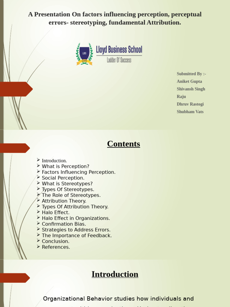 Organization Behaviour Team 10. | PDF | Perception | Stereotypes