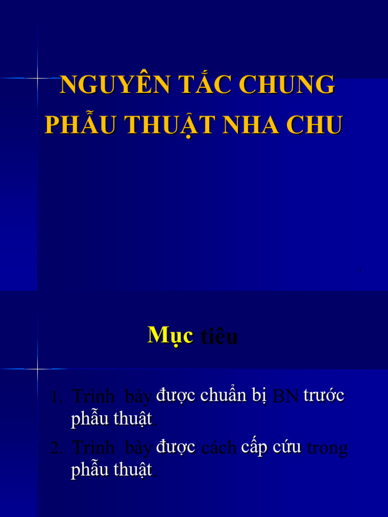 Nguyen Tac Chung PTNC 2024 | PDF