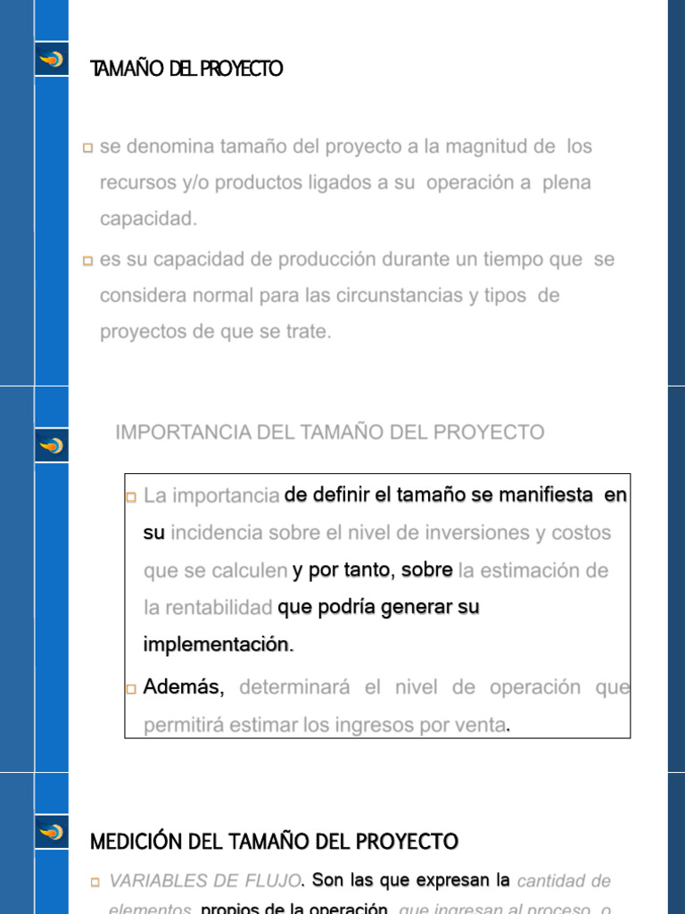 Definición y Medición del Tamaño del Proyecto | PDF | Mercado (economía ...