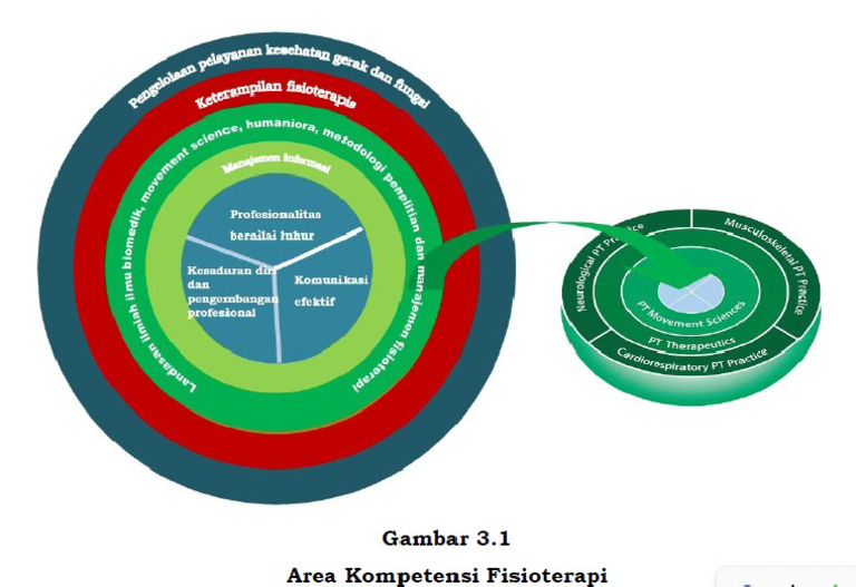 Area Kompetensi Fisioterapi | PDF