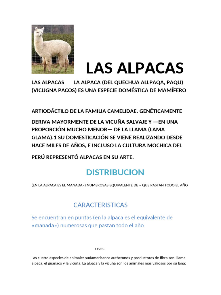 Las Alpacas | PDF