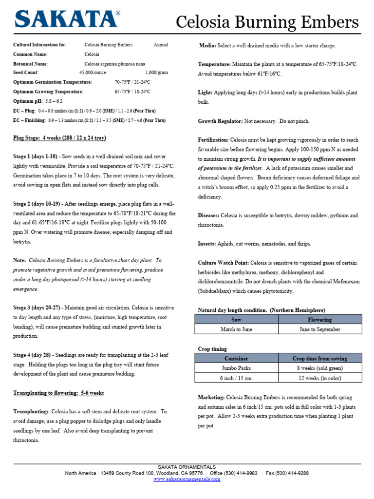 Celosia Burning Embers 1024 SAKATA | PDF | Germination | Seed