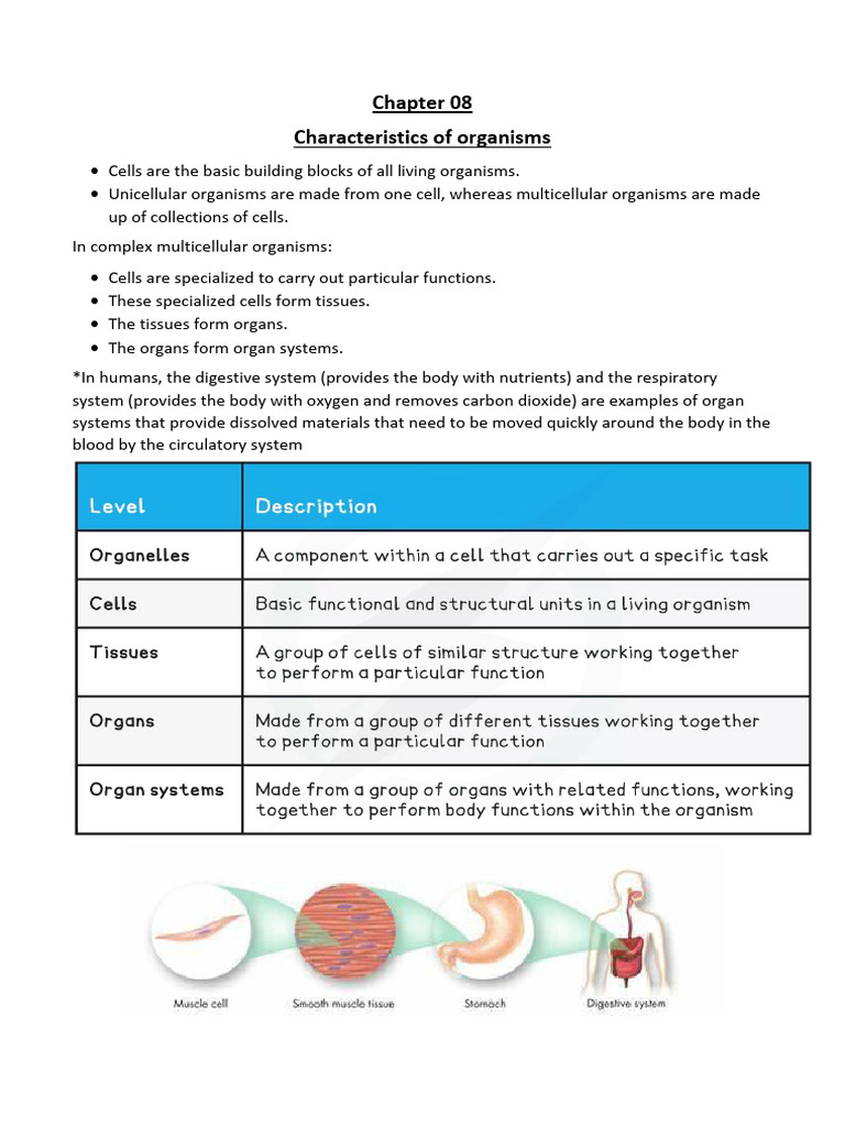 Grade 10 Chapter 8 | PDF | Sexual Reproduction | Stimulus (Physiology)