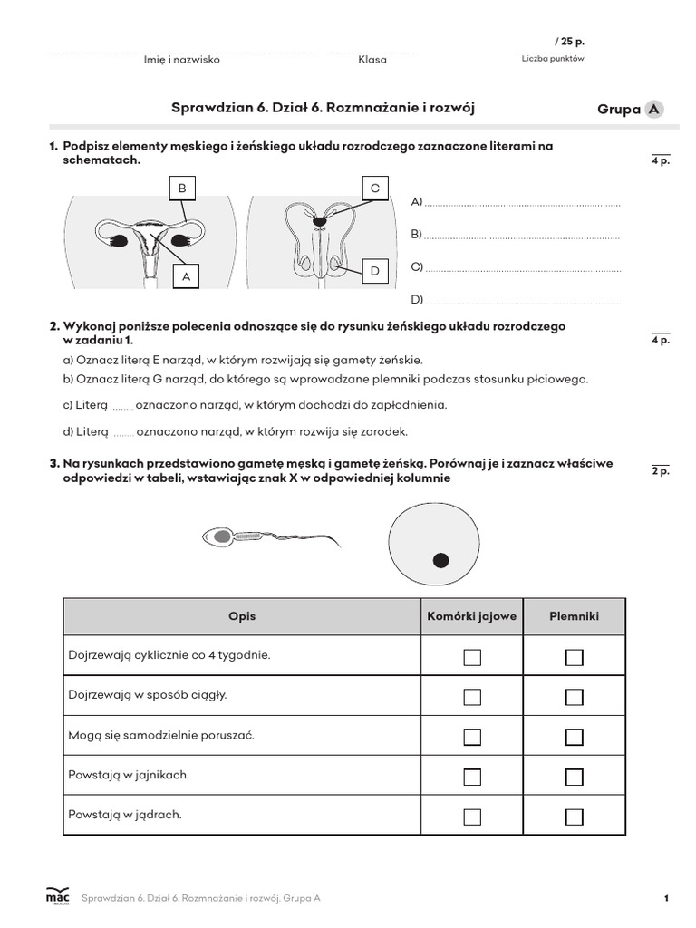 sprawdzian-kl7-po-dziale-vi-biologia | PDF