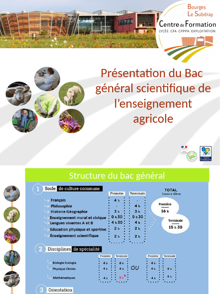 Présentation Bac G 2025 | PDF