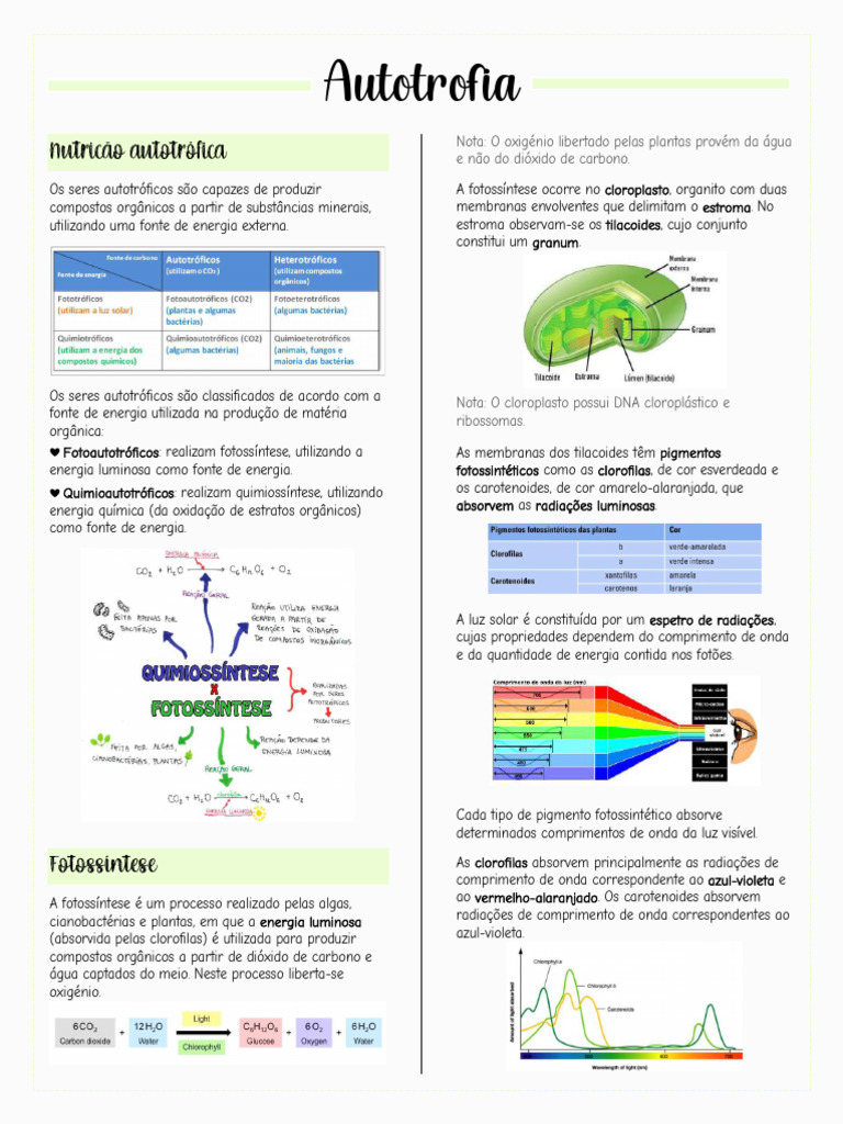 Resumos-De-Biologia-10oano-Explicacao-Da-Materia (1) - Removed | PDF | Sistema circulatório ...
