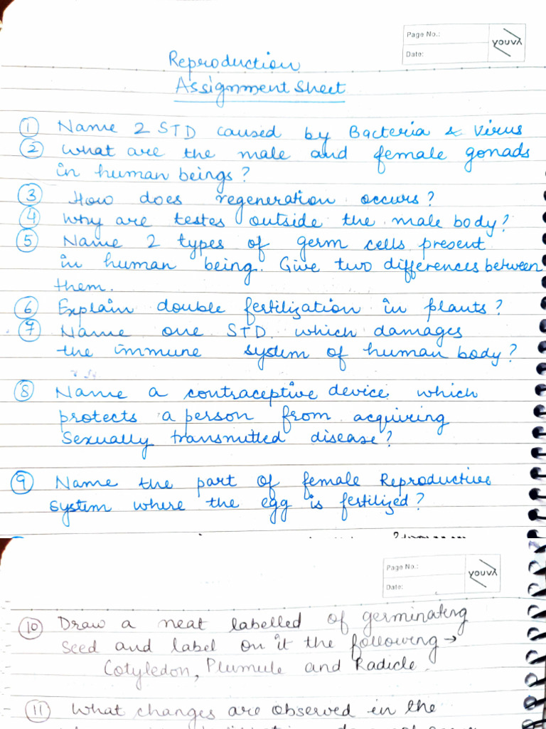 Reproduction Sheet | PDF