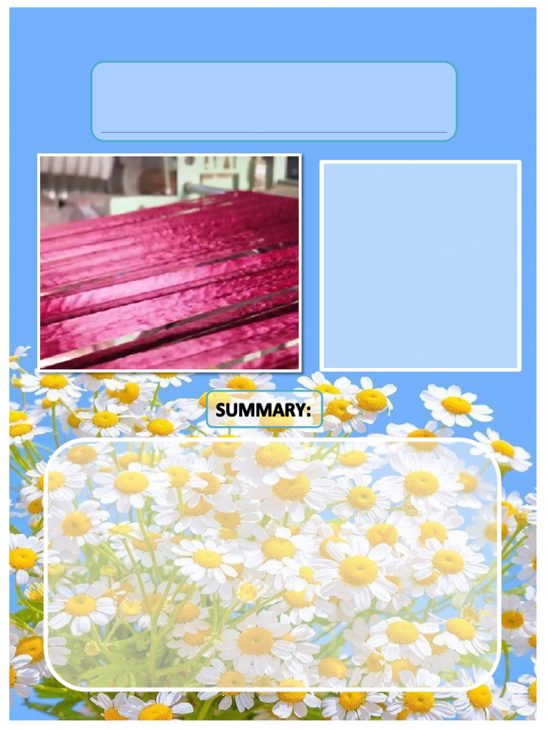 What the Sigma | PDF