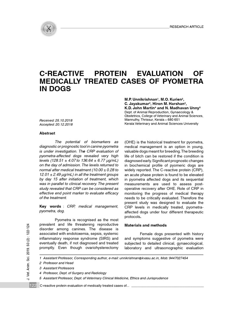 CRP Levels in Canine Pyometra Treatment | PDF | C Reactive Protein ...