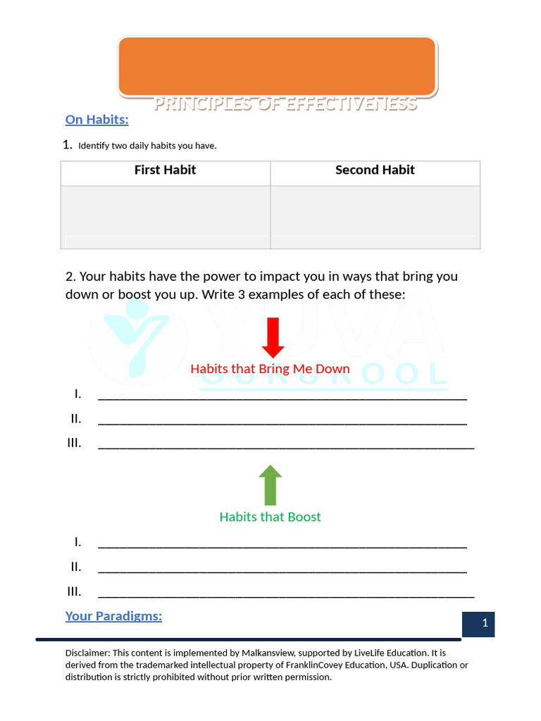 Principles of Effectiveness | PDF