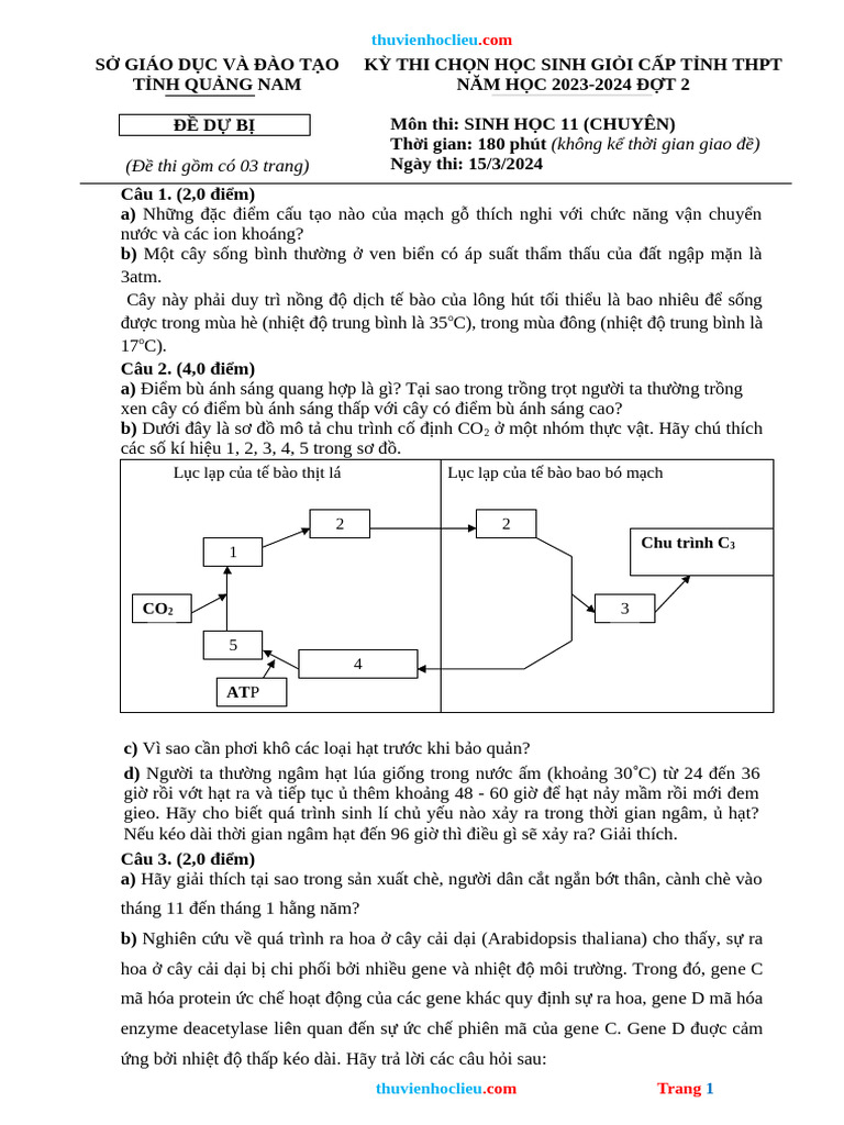 2. Đề TK 7-SI11 | PDF