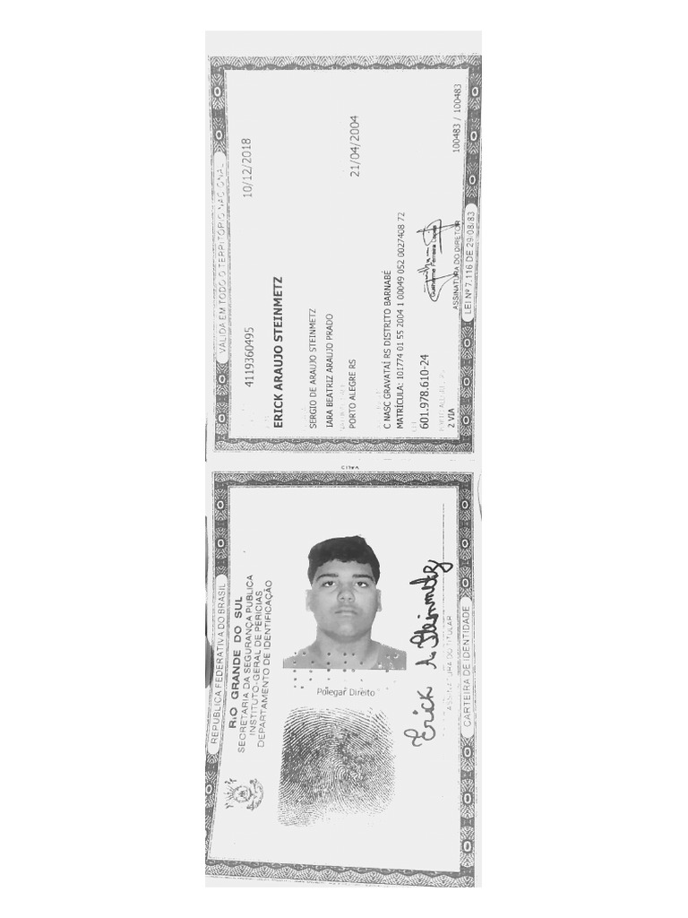 Erick Araujo Steinmetz - RG | PDF