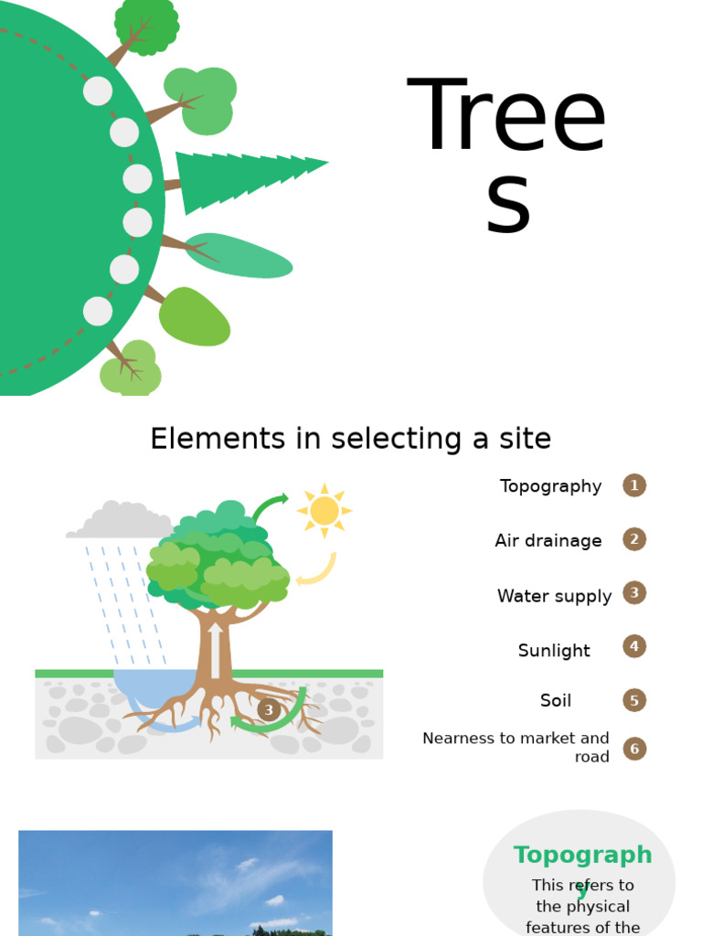2-3-TREES-PLANTING-TREES | PDF | Soil | Clay