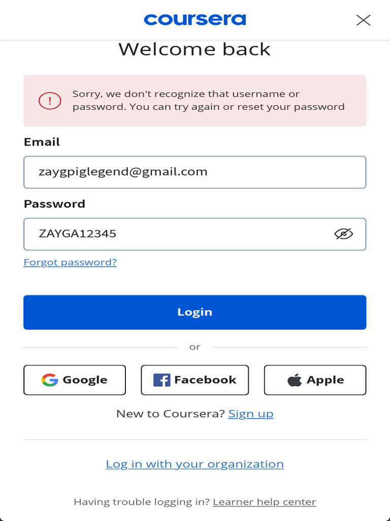 Login Issues on Coursera | PDF