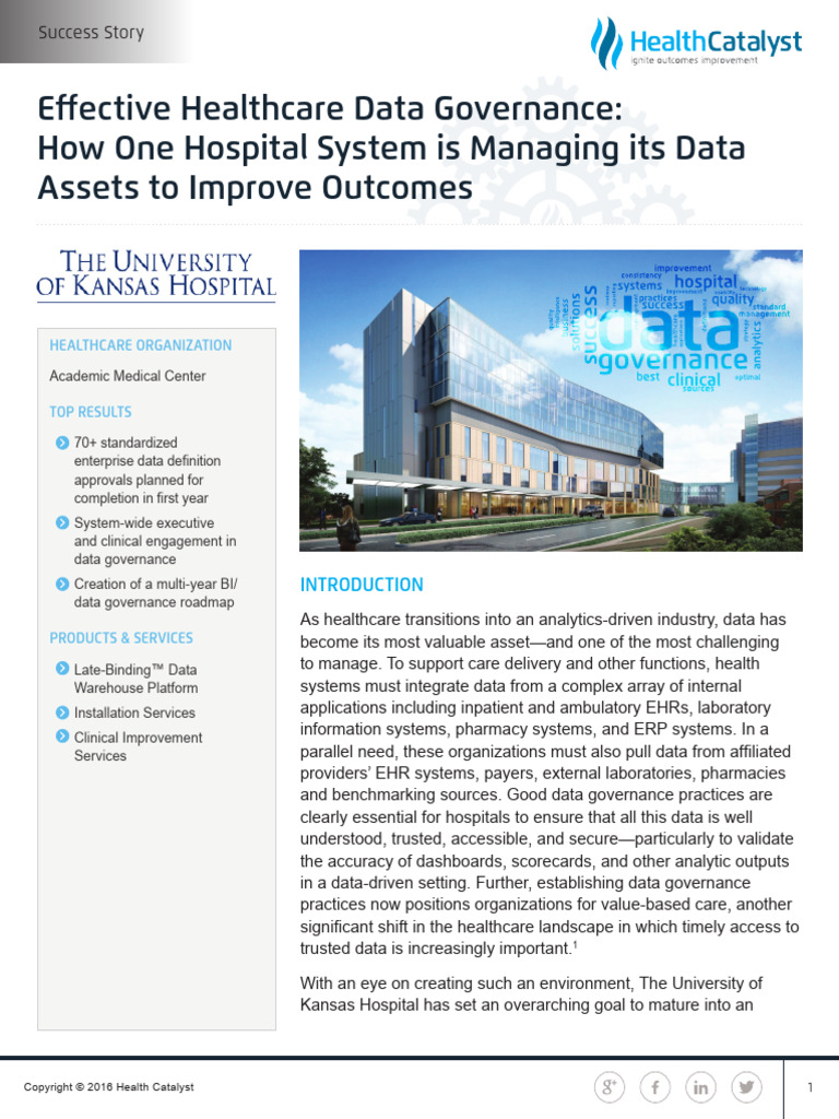 Effective Data Governance in Healthcare | PDF | Analytics | Business ...