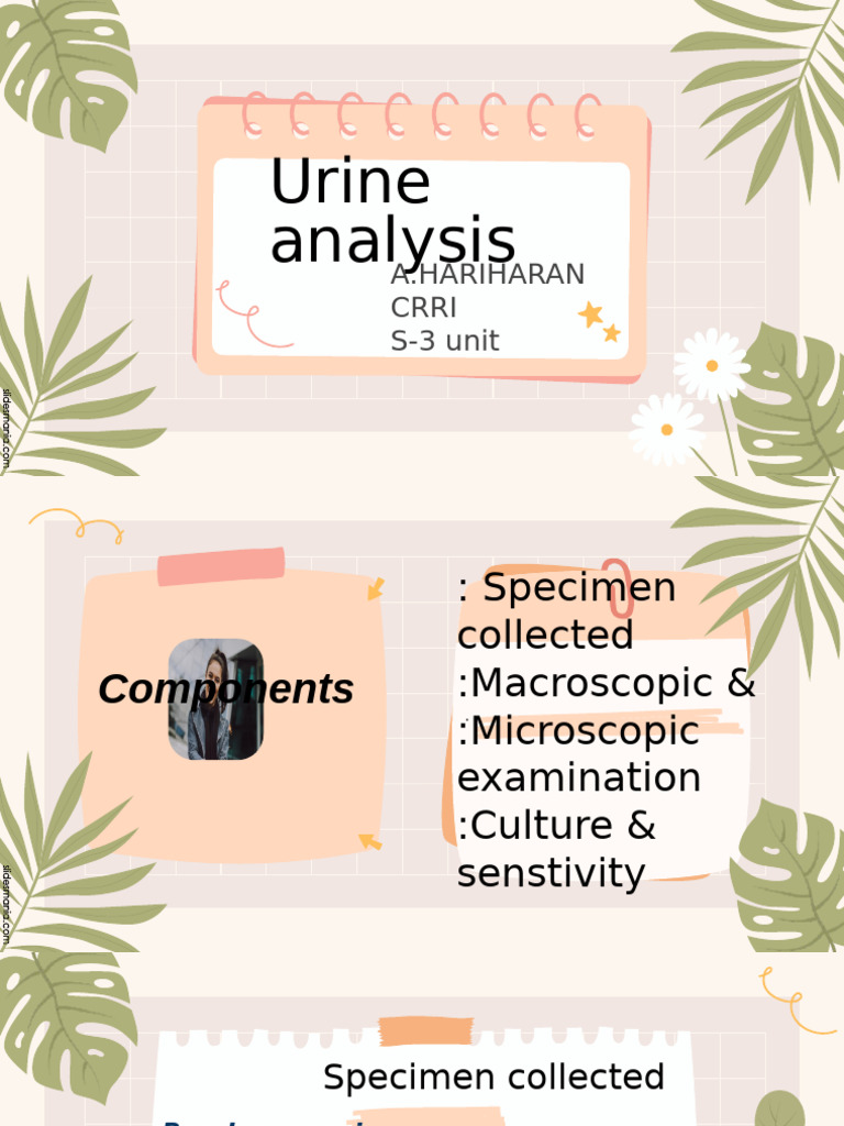 Urine Analysis | PDF | Urine | Blood