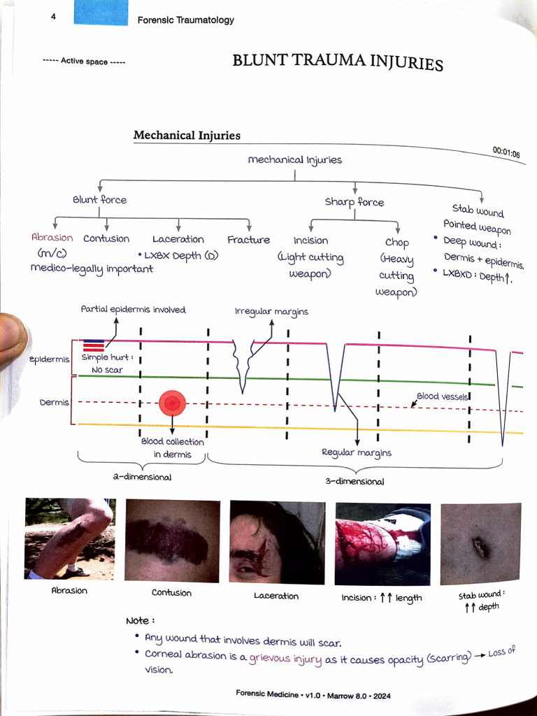 FMT Ed8 Marrow - Notes - Bot | PDF