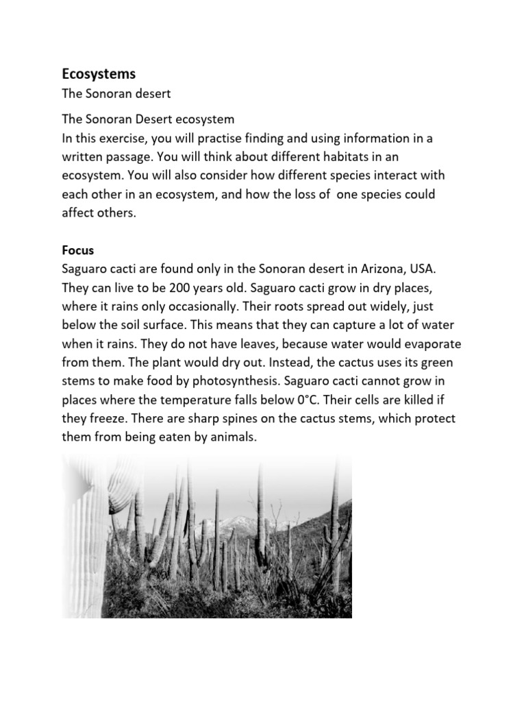 Desert Ecosystems-Answerkey | PDF | Desert | Organisms