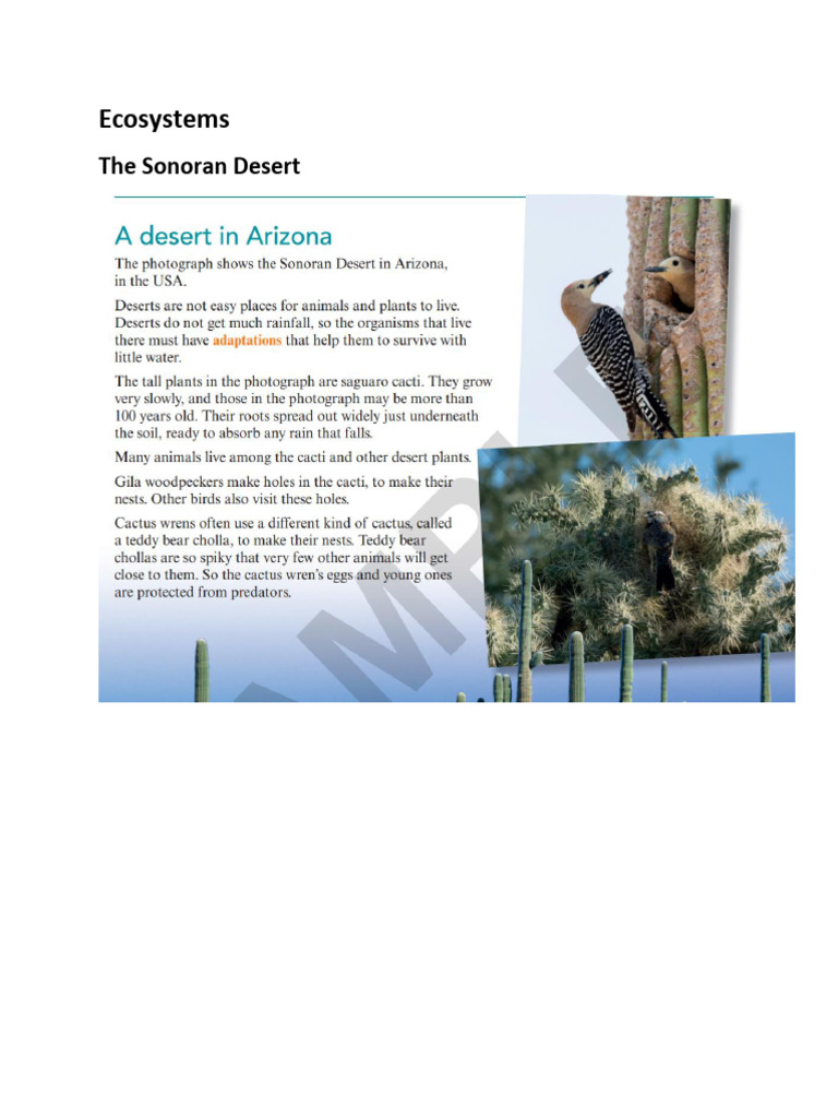 Sonoran Desert Reference Notes | PDF