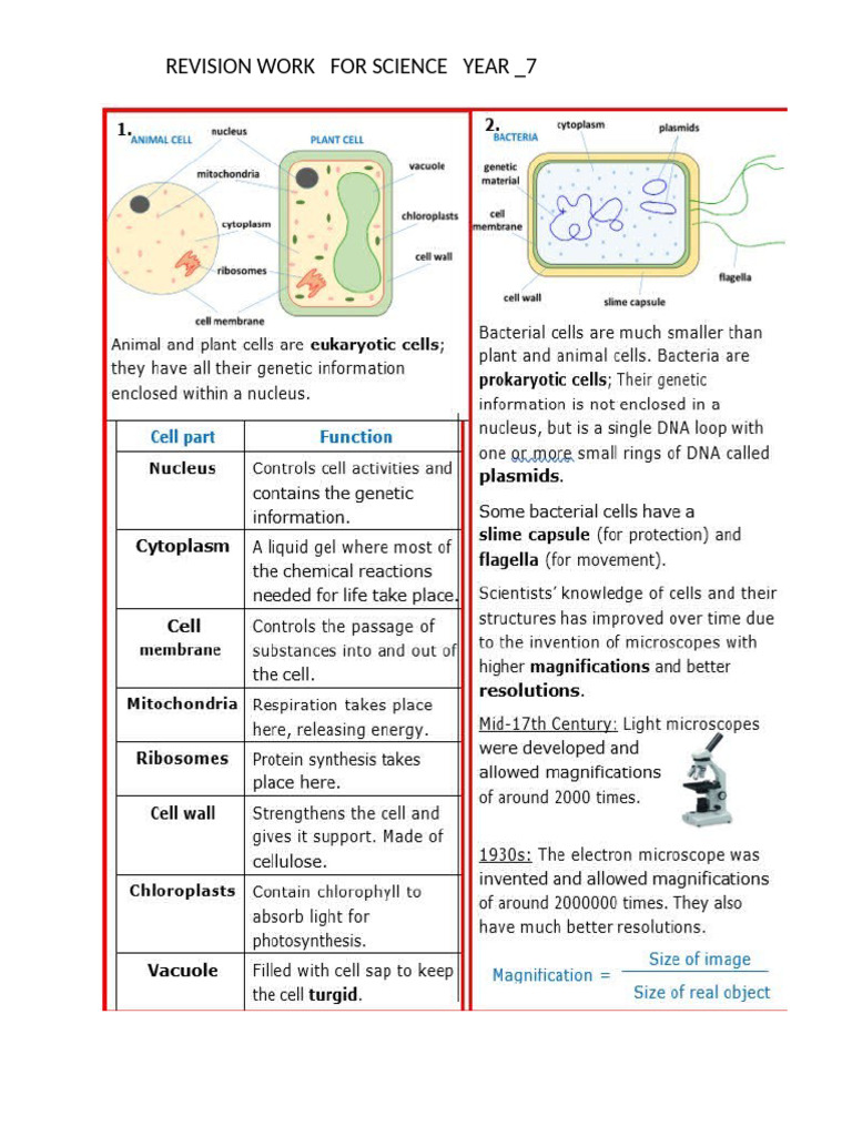 Year 7 Revision for Science -October Week -1 (1) | PDF | Cell (Biology ...