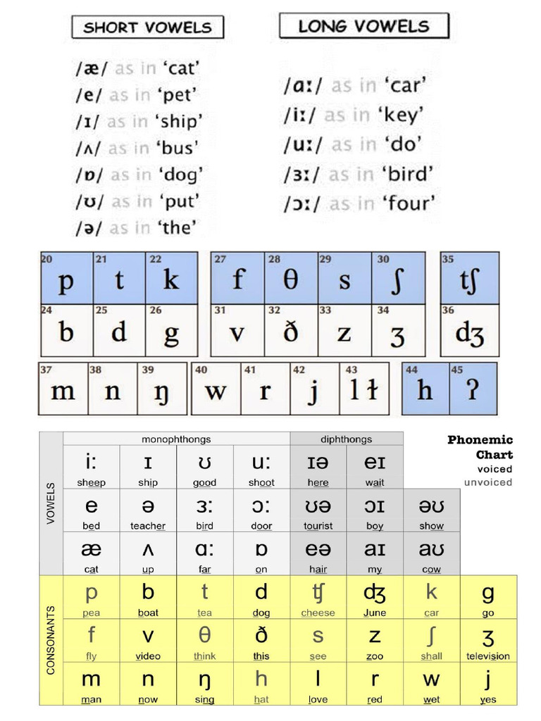 All Phonetic Charts | PDF