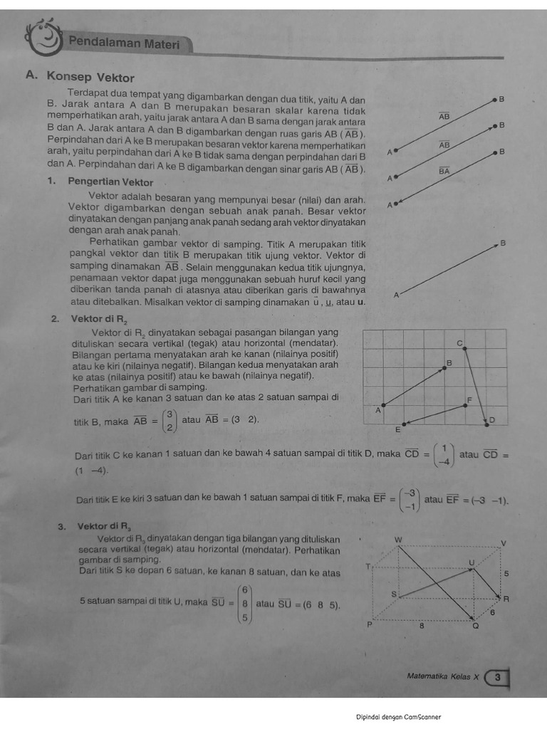 VEKTOR | PDF