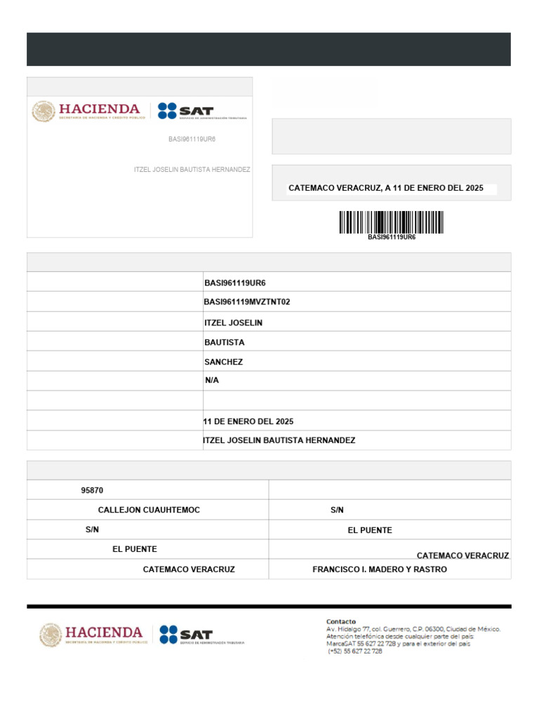 Cédula de Identificación Fiscal 2024 | PDF | Gobierno