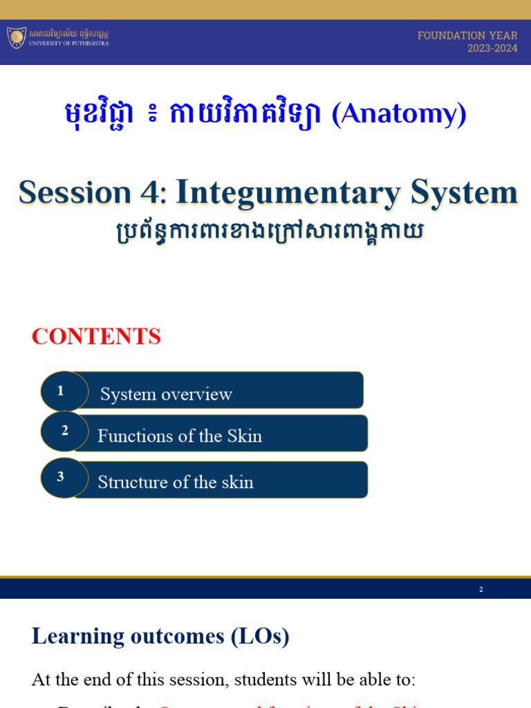 S4 The Integumentary System | PDF | Integumentary System | Skin