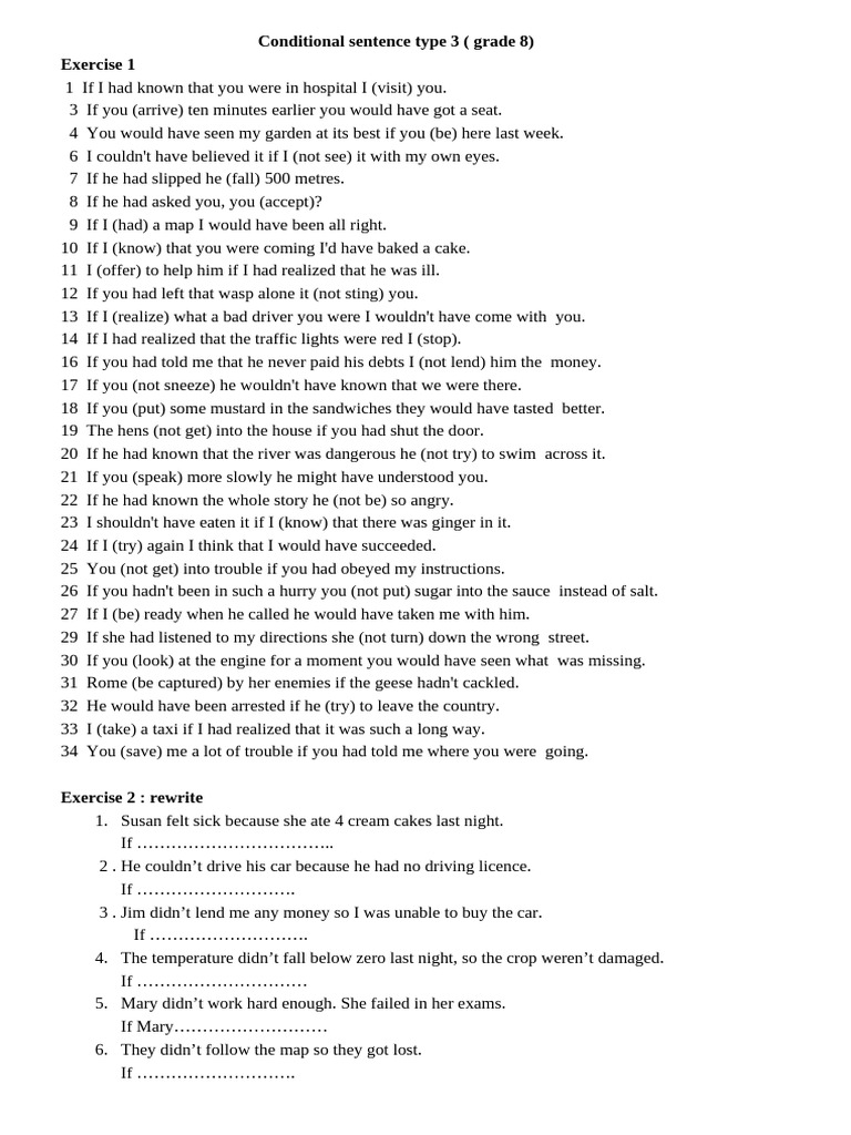 Conditional Sentence Type 3 | PDF