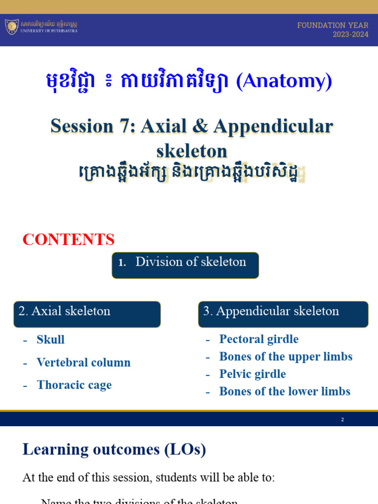 S7 Axial Appendicular Skeleton | PDF | Vertebra | Vertebral Column