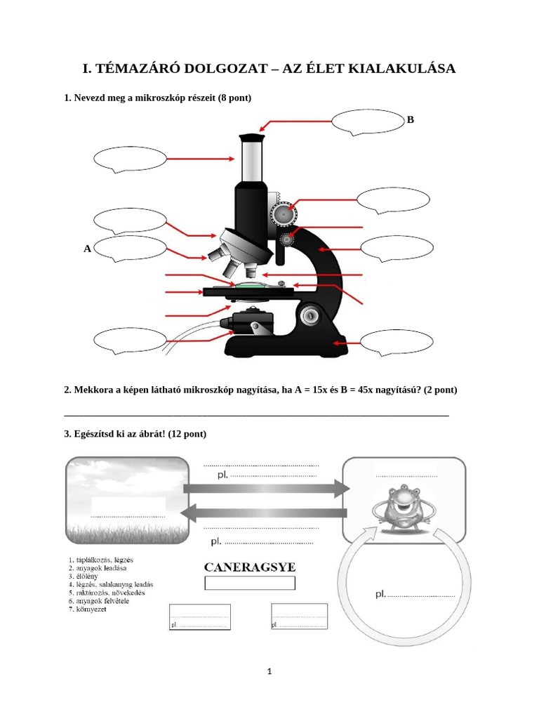Témazáró Dolgozat 7. - Az Élet Kialakulása | PDF